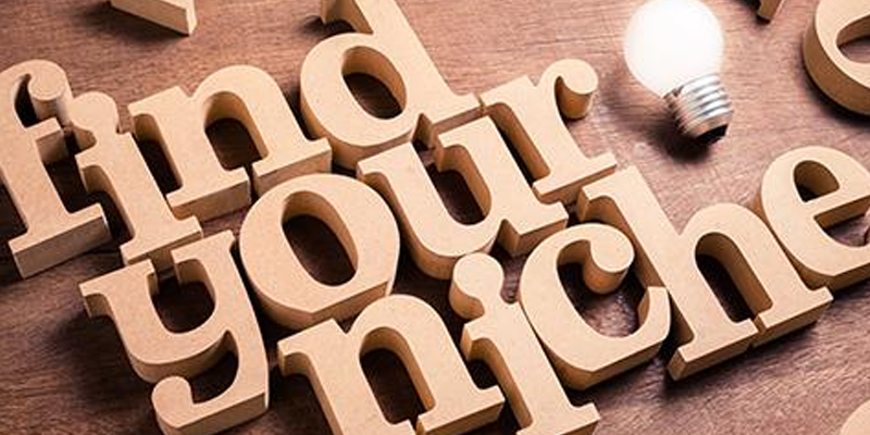 Finding Their Niche Is Crucial for Small Operators